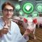 Ethical Pig Farming Essentials