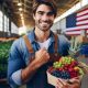 Agriculture Acts 2024: Changes and Effects