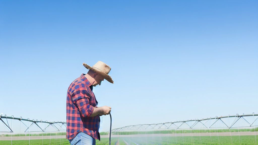 Impact of Heatwaves on Agricultural Property Value and Crop Yields